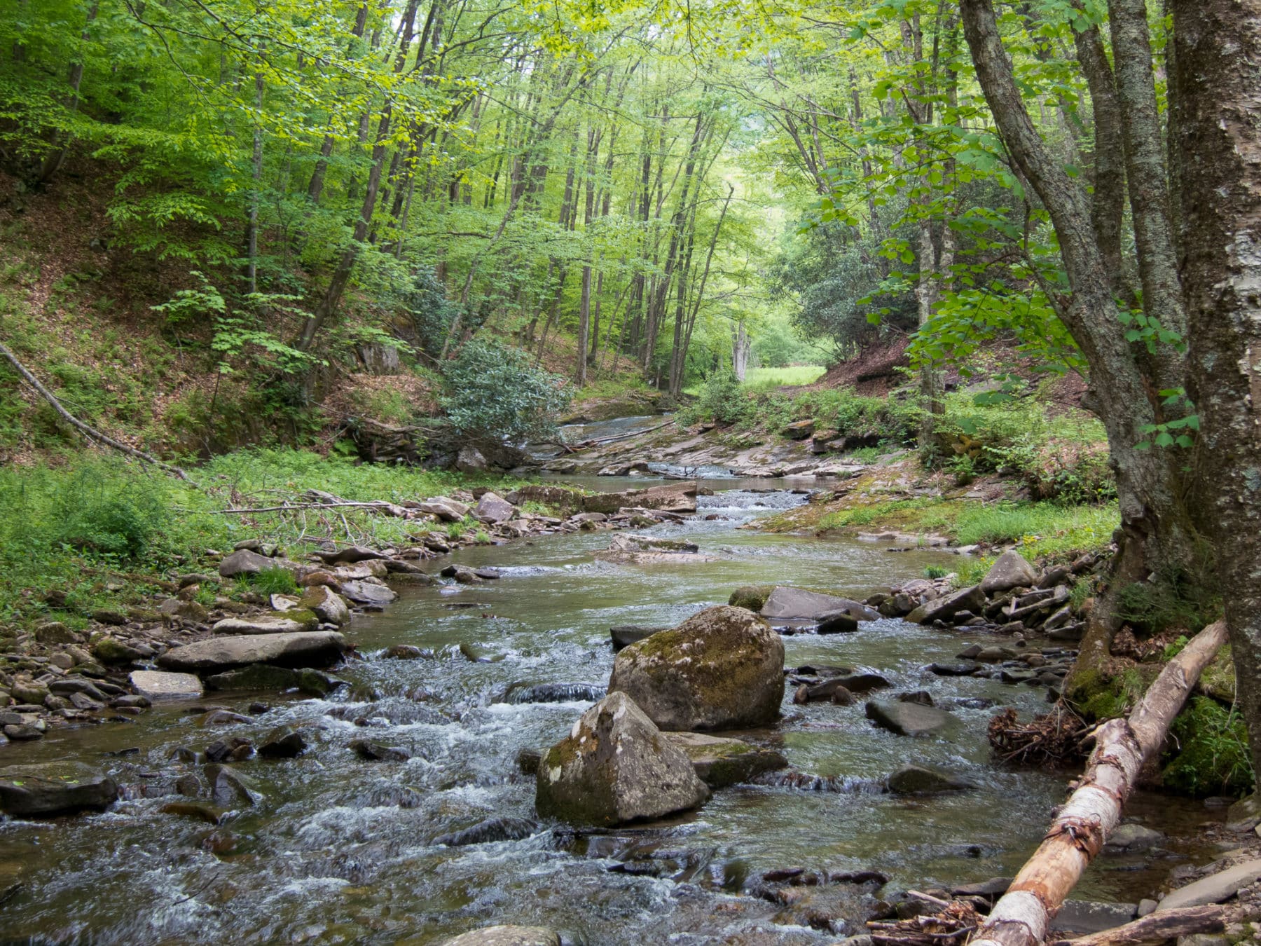 Gear list: West Virginia & Appalachians in May